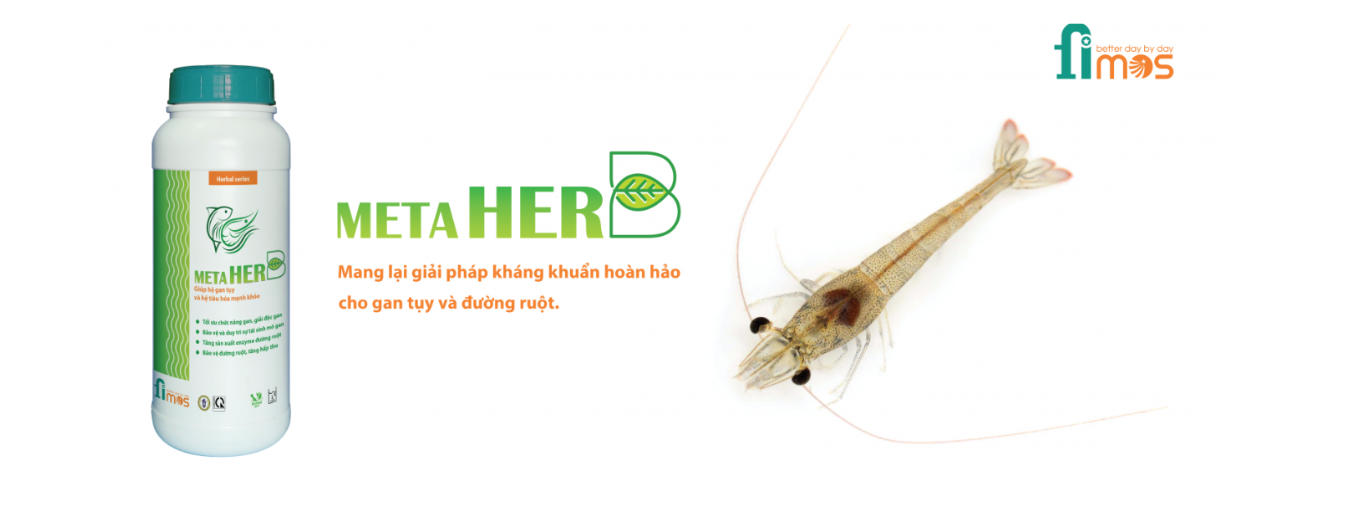 Thảo dược META HERB - Giải pháp kháng khuẩn tốt nhất cho gan tụy và ...